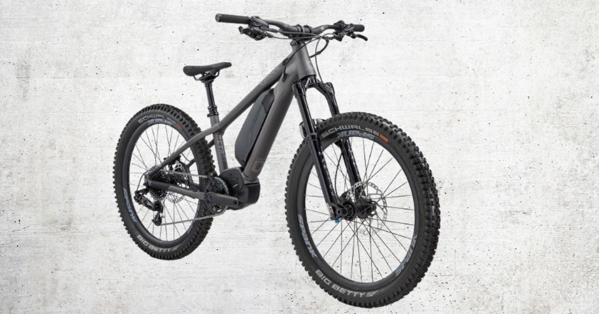 Commencal Meta HT Power Kids e-MTB eBike Review