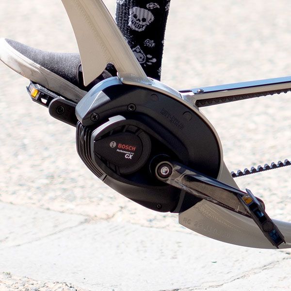 RUFF CYCLES The Ruffian eBike Review