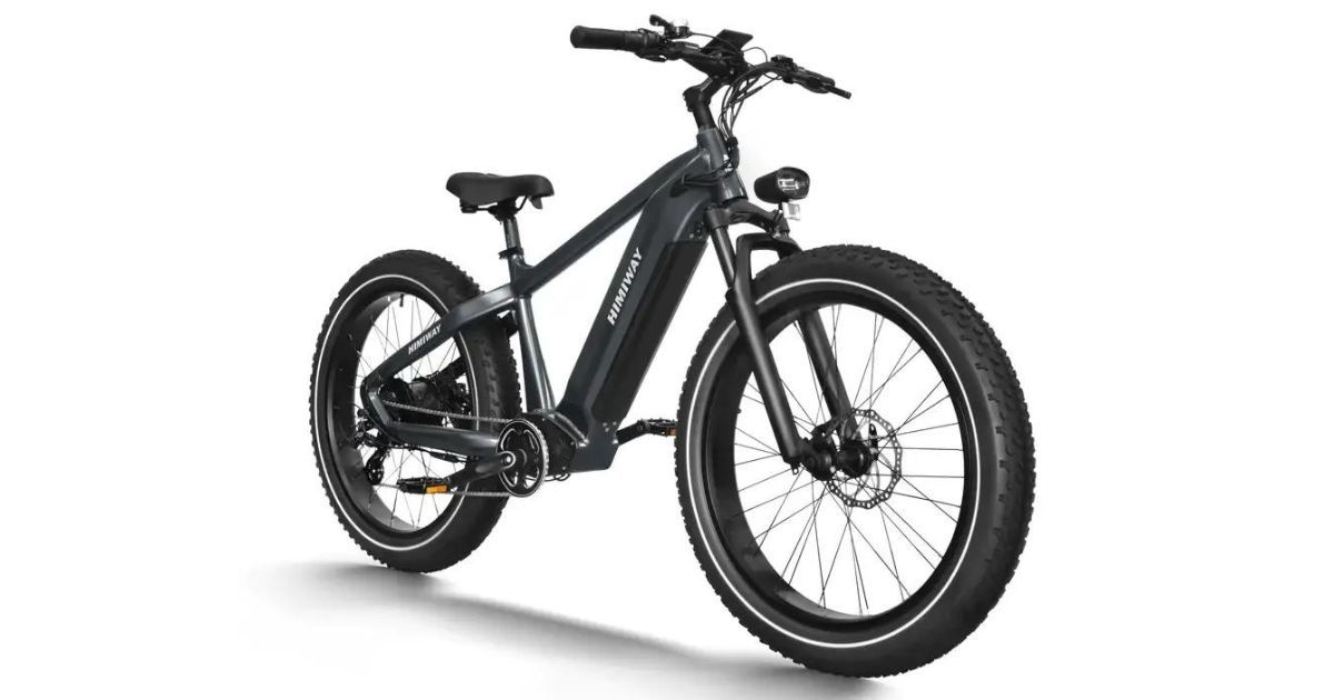 Himiway Zebra eBike Review